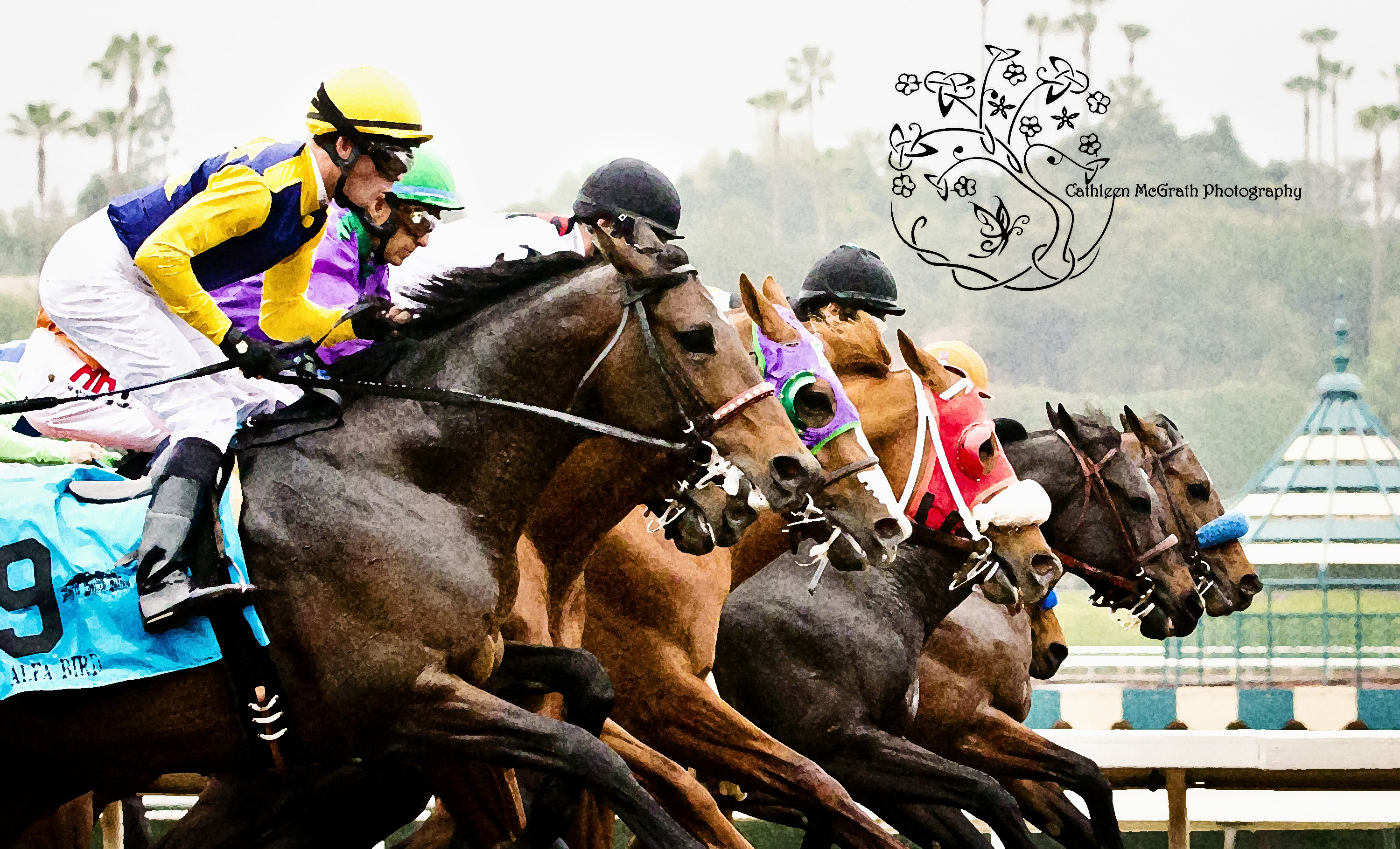 Sports – Add-on – Cathleen McGrath Photography